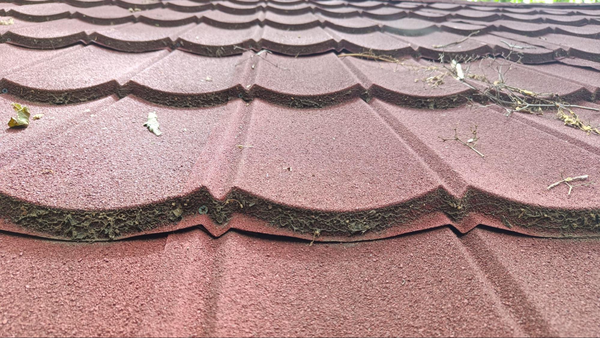 Algae-Resistant Roof Shingles | What Are They, Worth It?