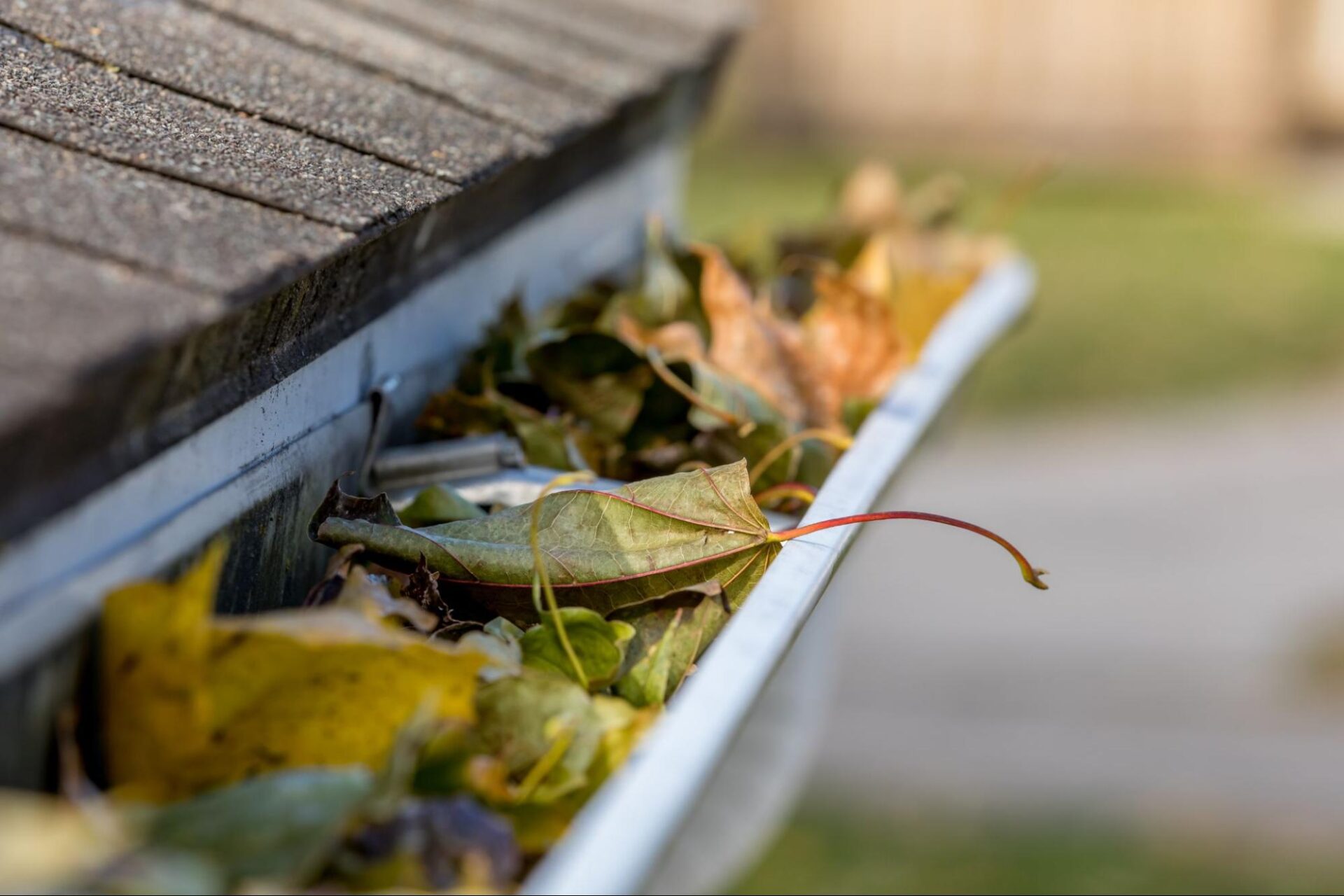 How Long Do Gutters Last in Florida? Material Lifespans & Pro Tips